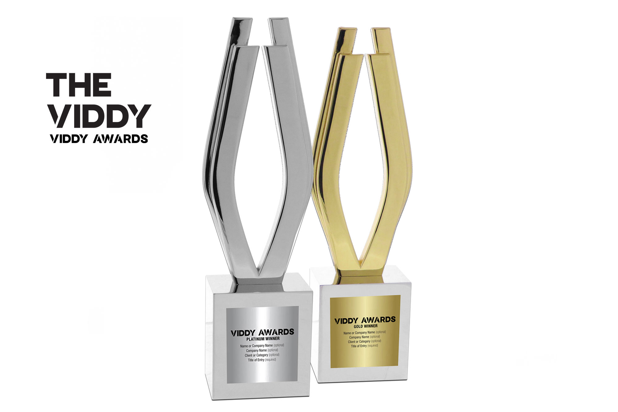 Award – Viddy Awards